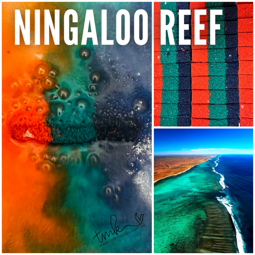 20x Embed Rods Ningaloo Reef Colours – TMK Moulds
